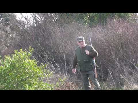 Rabbit vs. Hunter - Remi Gaillard | Dravens Tales from the Crypt