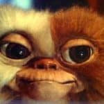 Gremlins: Recall – Fanfilm bringt die Weihnachtsgruselkuscheltiere ...