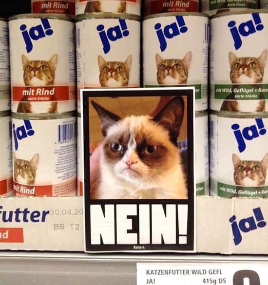 Ja! NEIN! | Dravens Tales from the Crypt