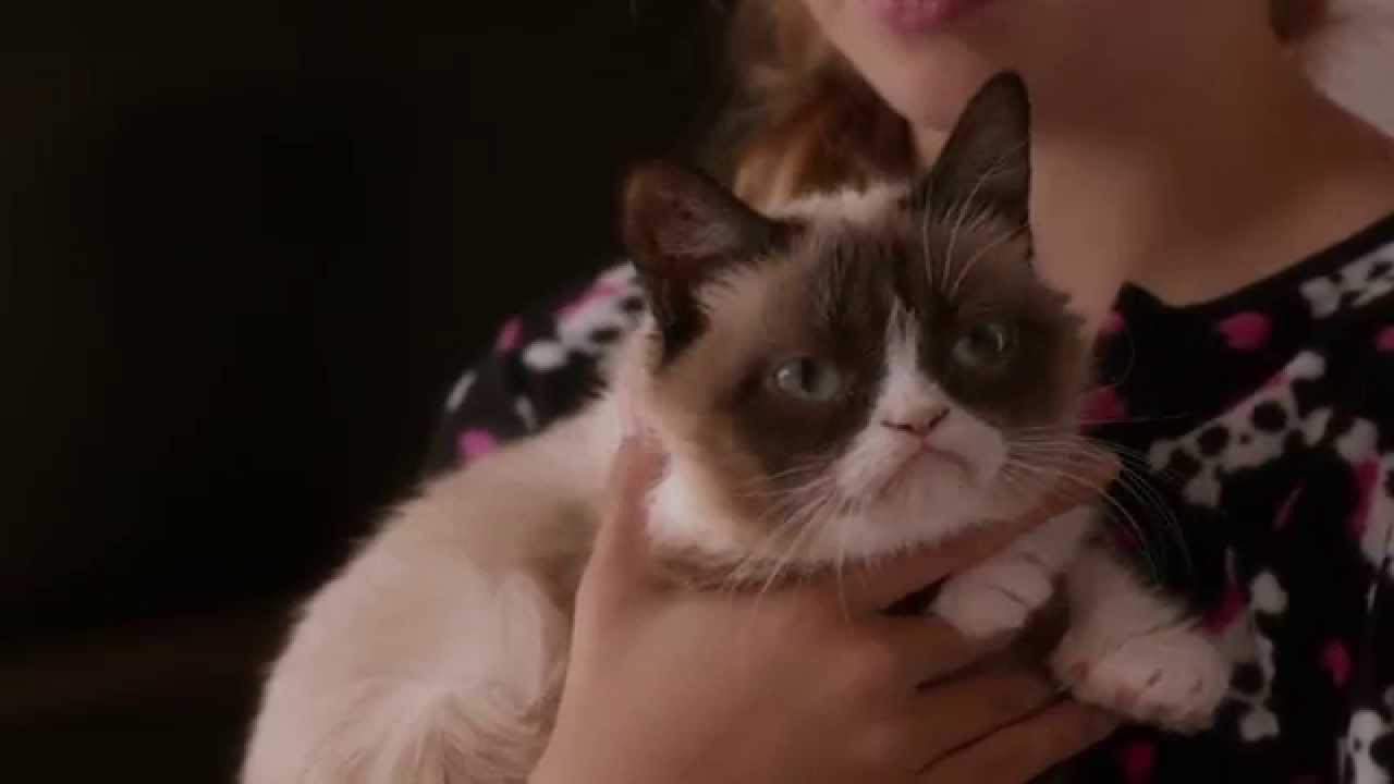 Grumpy Cat’s Worst Christmas Ever - Trailer | Dravens Tales from the Crypt