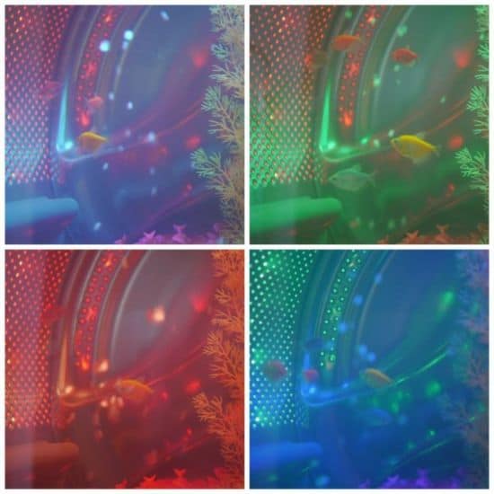 Waschmaschinen-Aquarium selbstgemacht | Dravens Tales from the Crypt