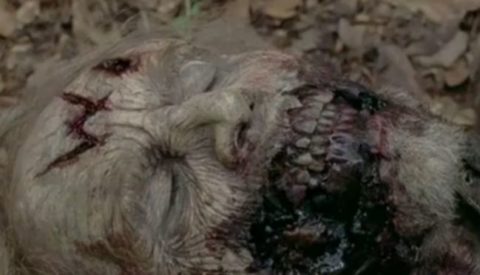 The Walking Dead: News zur 6. Staffel | Dravens Tales from the Crypt