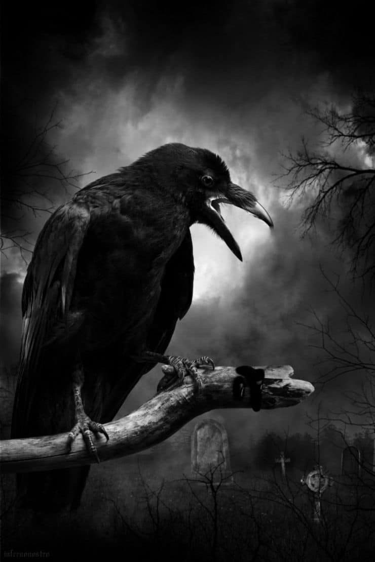 Crow watching over a Celtic Cemetery | Dravens Tales from the Crypt