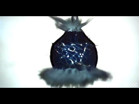 Exploding High-speed Christmas Bauble | Dravens Tales from the Crypt