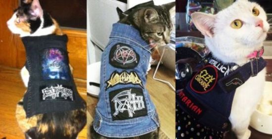 Katzen in Punk-Rock- und Metal-Westen | Dravens Tales from the Crypt