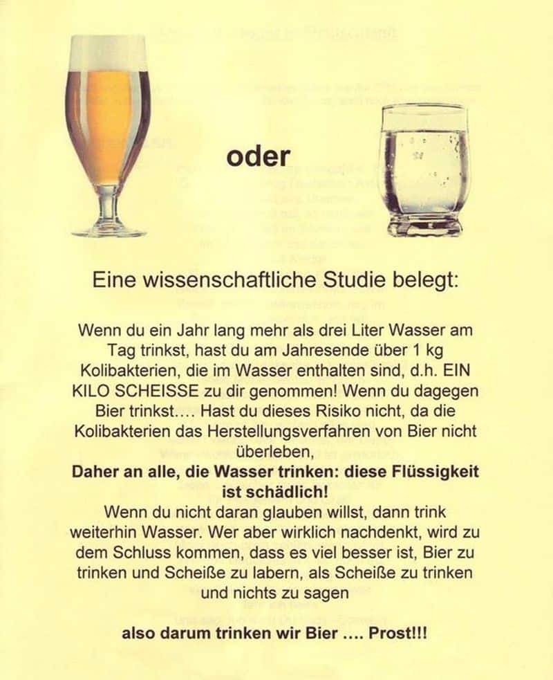 Wasser oder Bier? - Dravens Tales from the Crypt