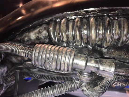 Giger’s Alien Life-Size Head - Dravens Tales from the Crypt