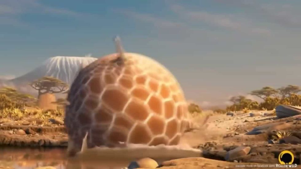 Rollin Wild: Wenn Tiere kugelrund wären | Dravens Tales from the Crypt