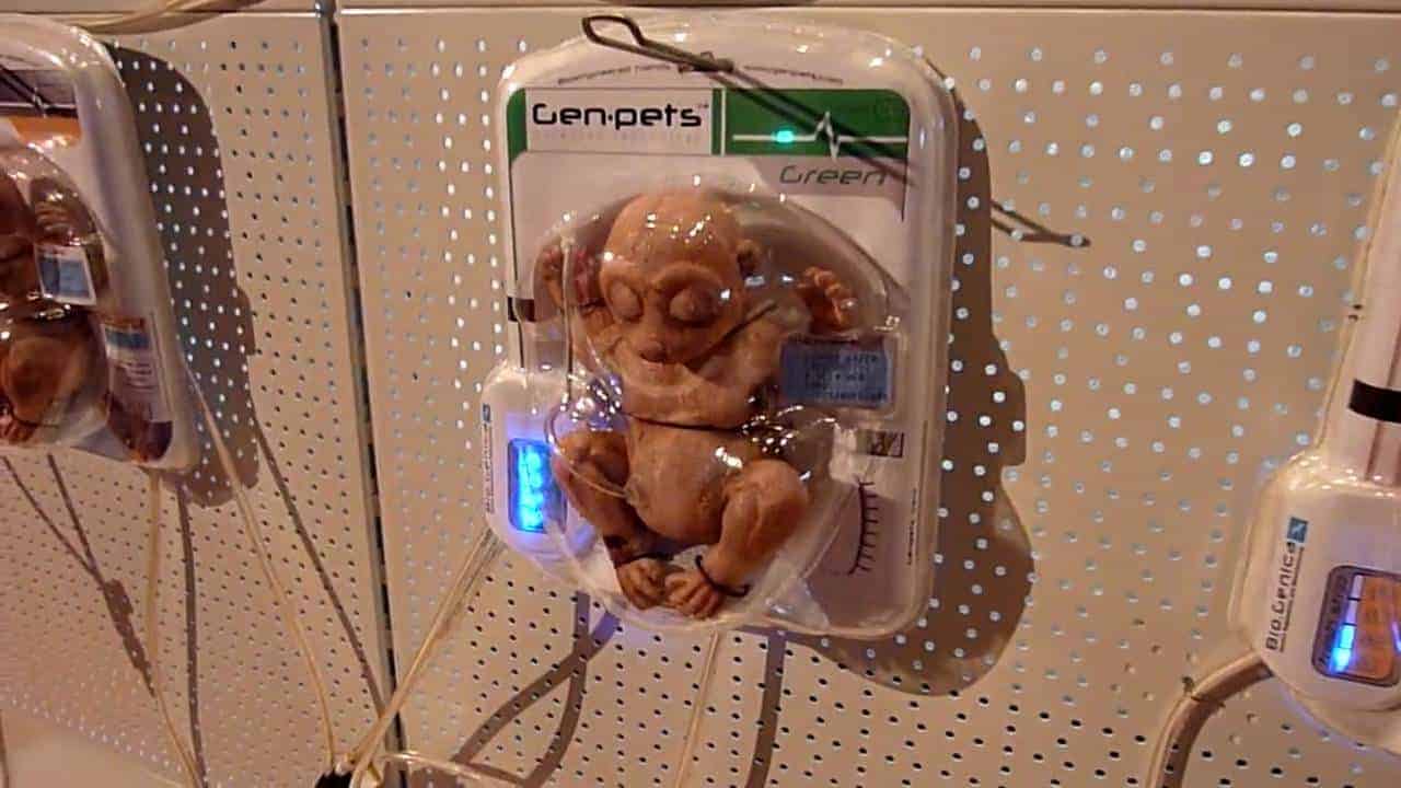 Genpets | Dravens Tales from the Crypt