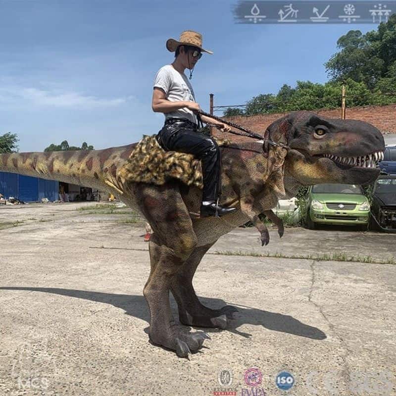 Jurassic Riding: Cowboy reitet auf T-Rex Kostüm